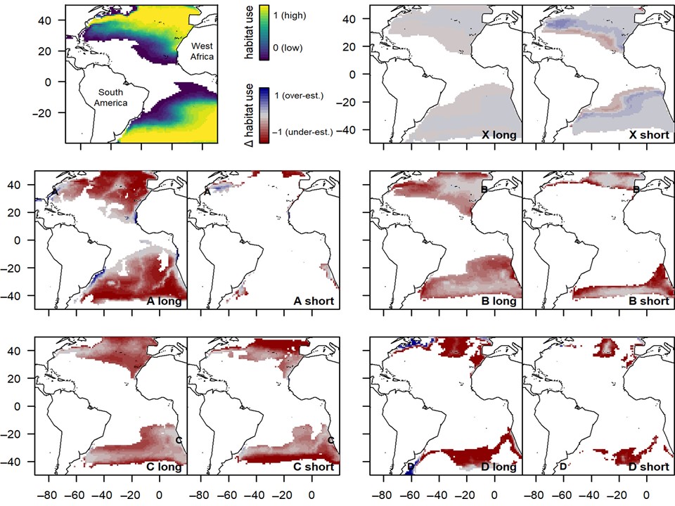 Tracking bias in species distribution models? - Global Shark Movement